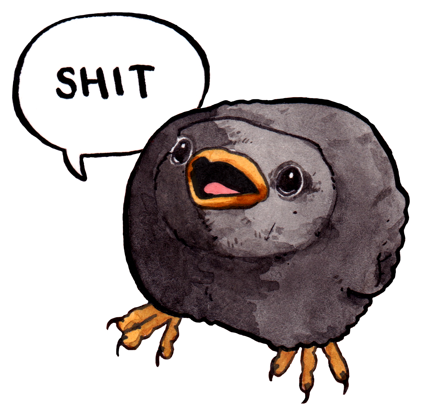 Shit Sticker – False Knees Store